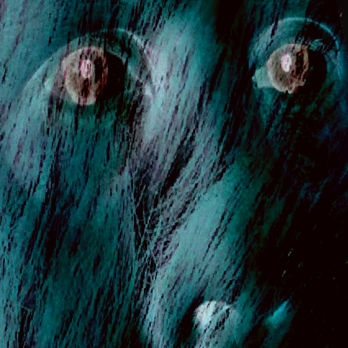 Misunderstood Creatures – Monty’s Blahg